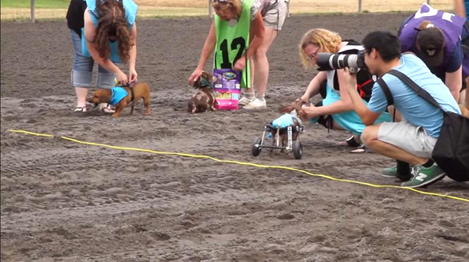 臘腸世界趣聞 | HotPets 哈寵誌