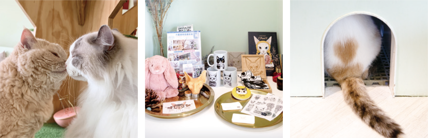 FU FU Cat Cafe 與喵星人的小約會 | HotPets 哈寵誌